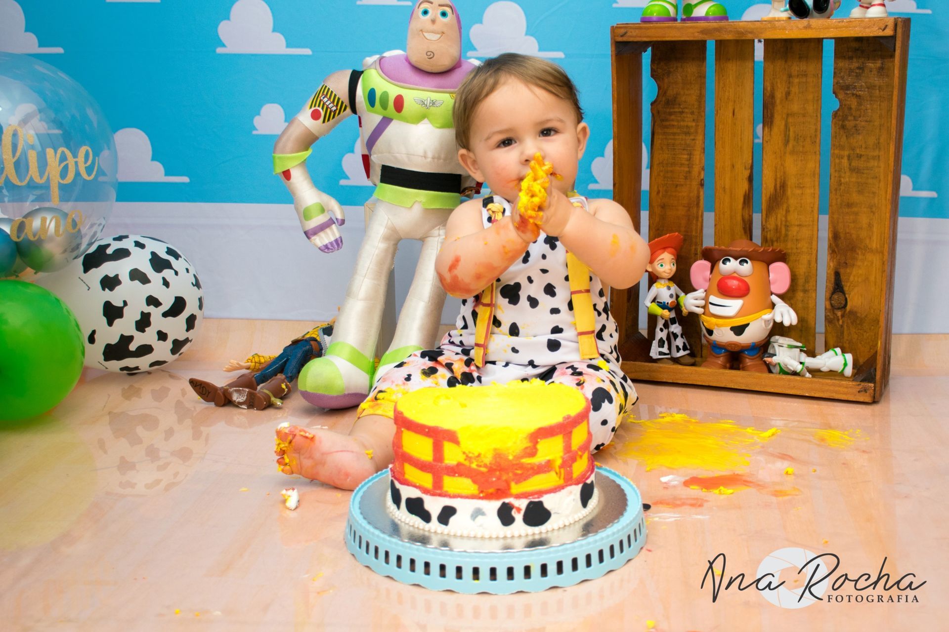 Smash the Cake Felipe - Toy Story | Fotógrafo de 15 anos, Ana Paula ...