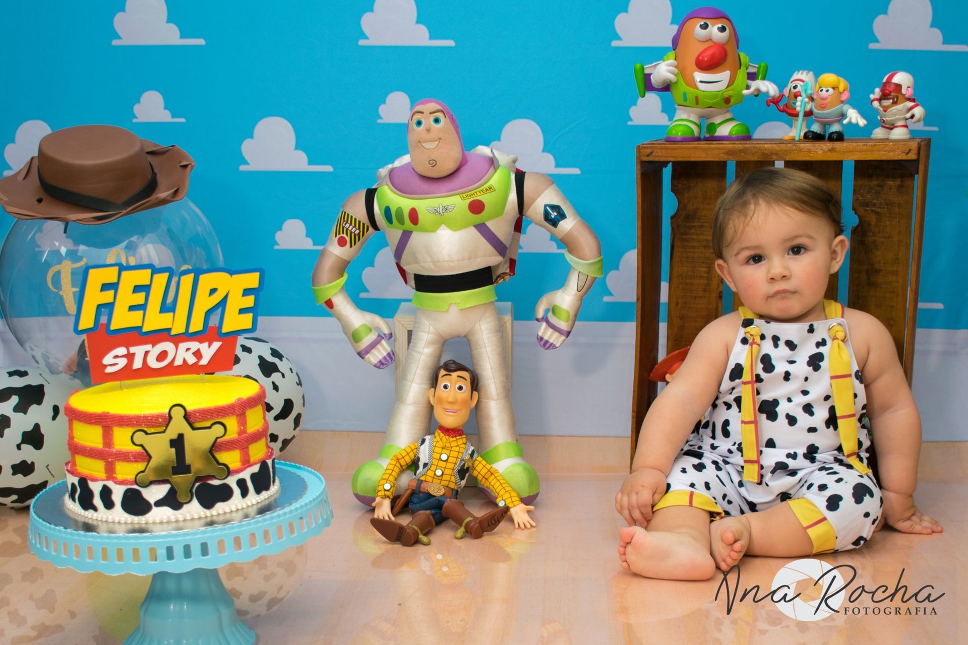Smash the Cake Felipe - Toy Story | Fotógrafo de 15 anos, Ana Paula ...