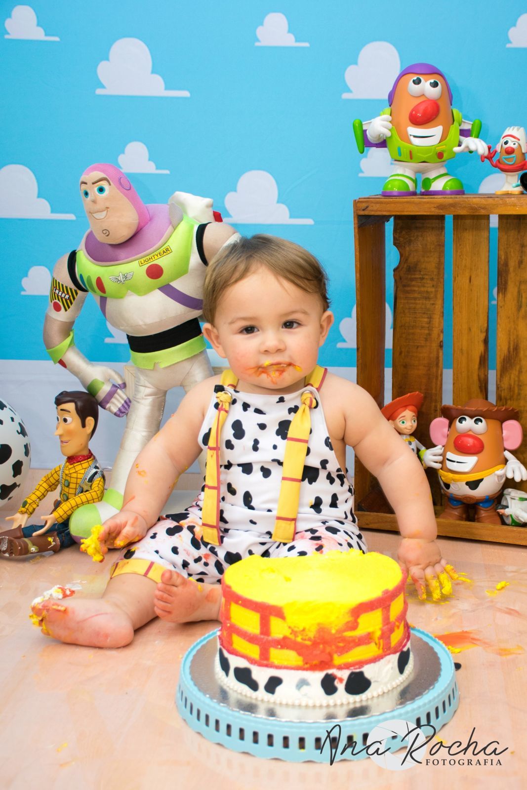 Smash the Cake Felipe - Toy Story | Fotógrafo de 15 anos, Ana Paula ...