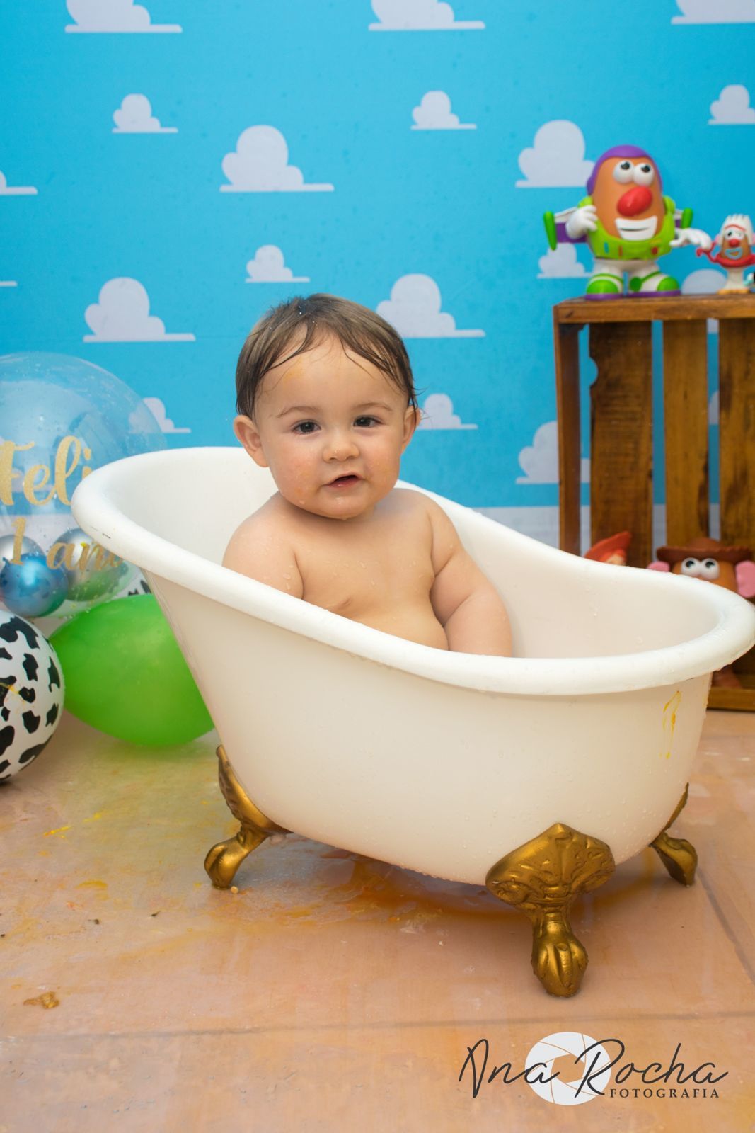 Smash the Cake Felipe - Toy Story | Fotógrafo de 15 anos, Ana Paula ...